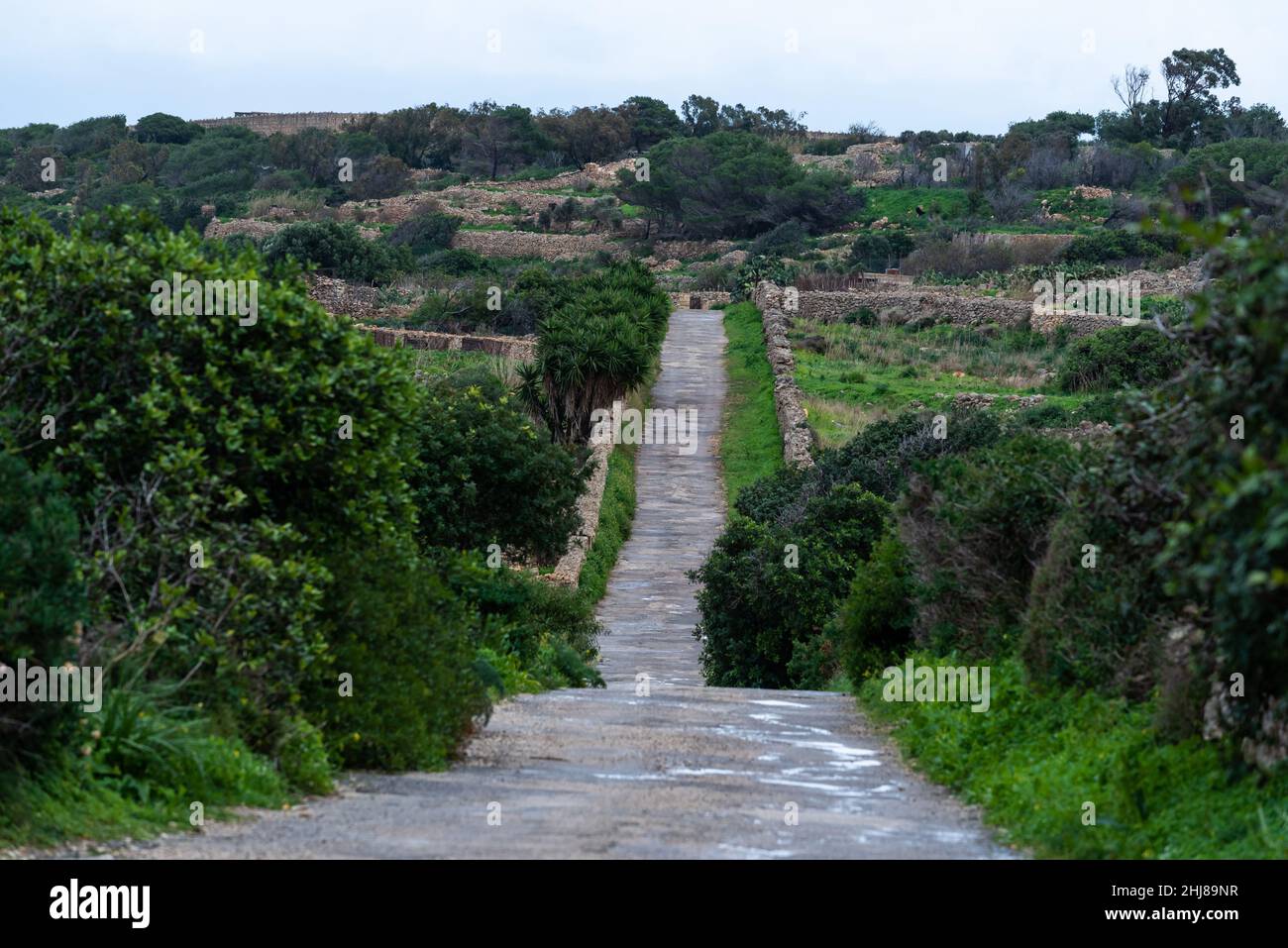 Old soft road through the green rocky mountains of Selmun, Malta Stock ...
