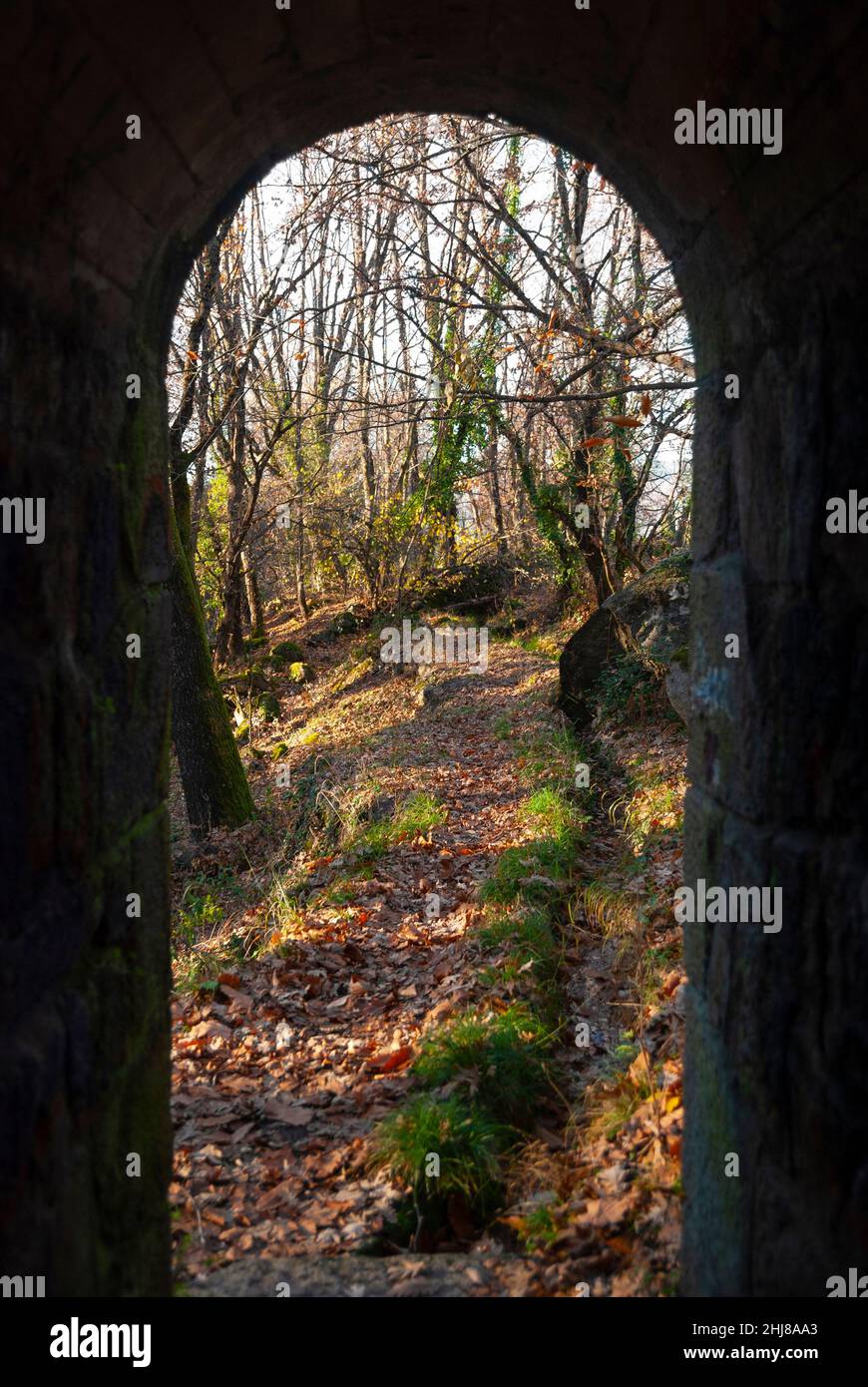 Tunnel highway rural england hi-res stock photography and images - Alamy
