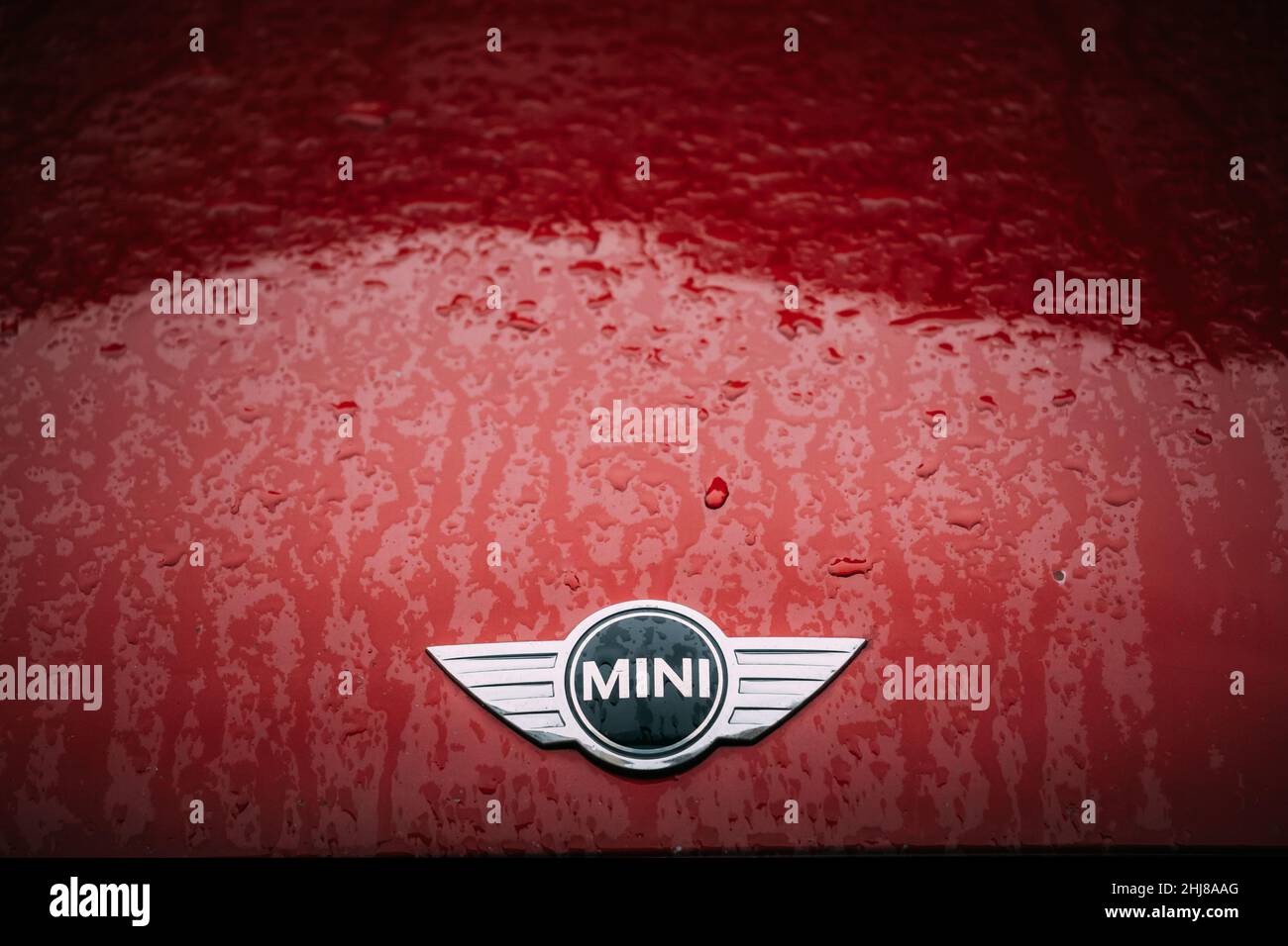 Wet Logo Logotype Sign Of Mini Cooper on red hood Stock Photo - Alamy