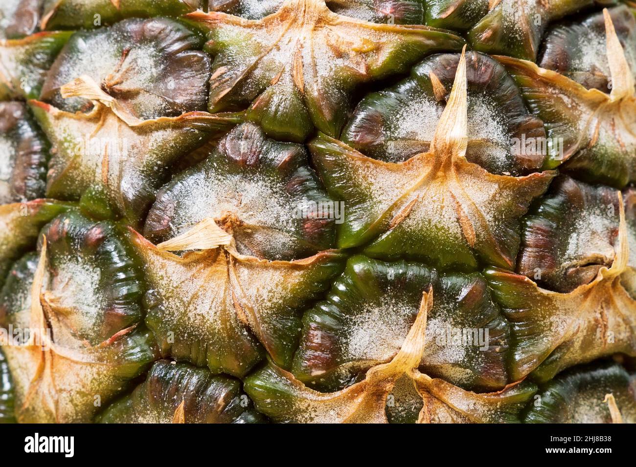 Pineapple peel texture background. Exotic fruit food background Stock ...