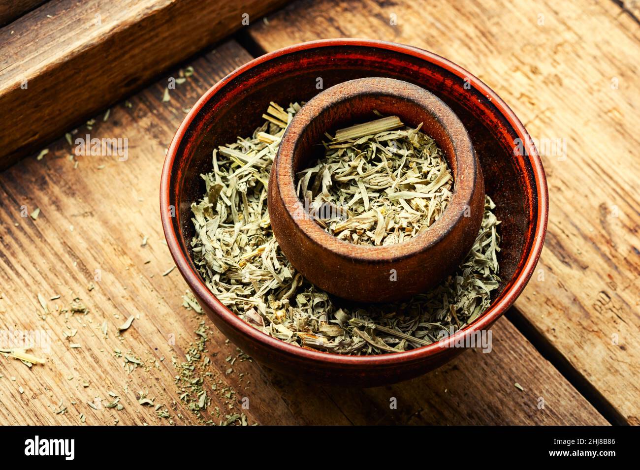 Absinthe plant hi-res stock photography and images - Alamy