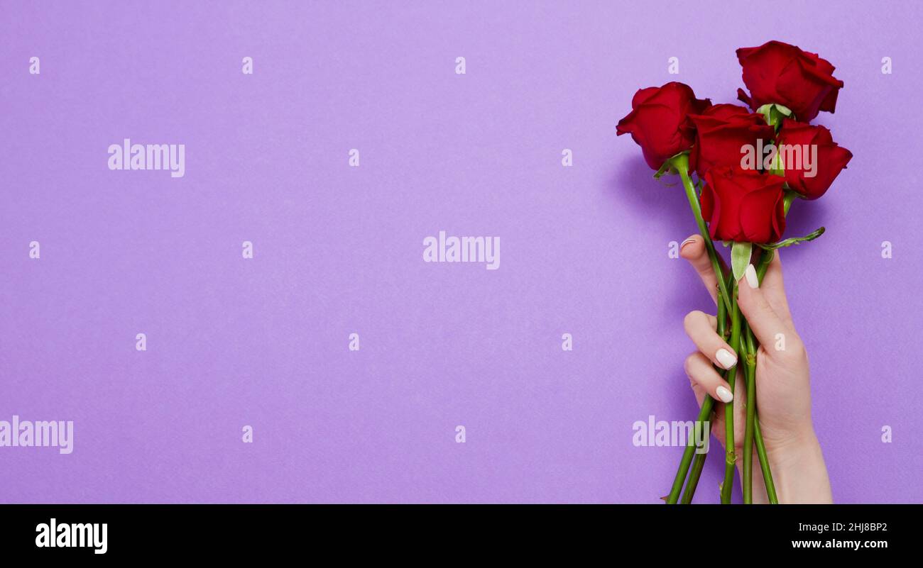 Roses on red background isolated. Top view and mock up. Mother and valentine day. Women holidays ...