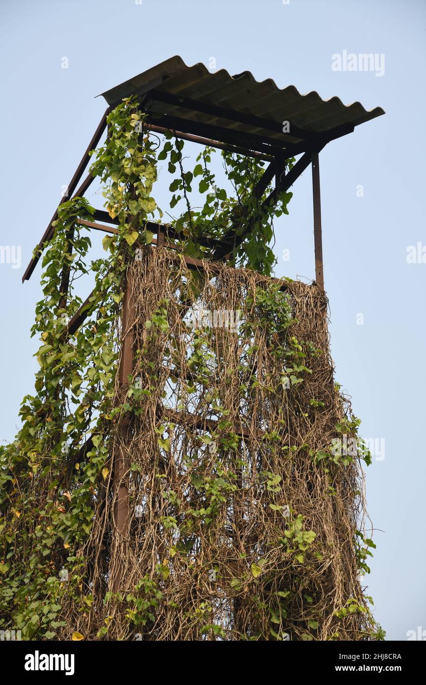Abandoned watchtower of Padmapukur Water Treatment Plant. Howrah, West ...