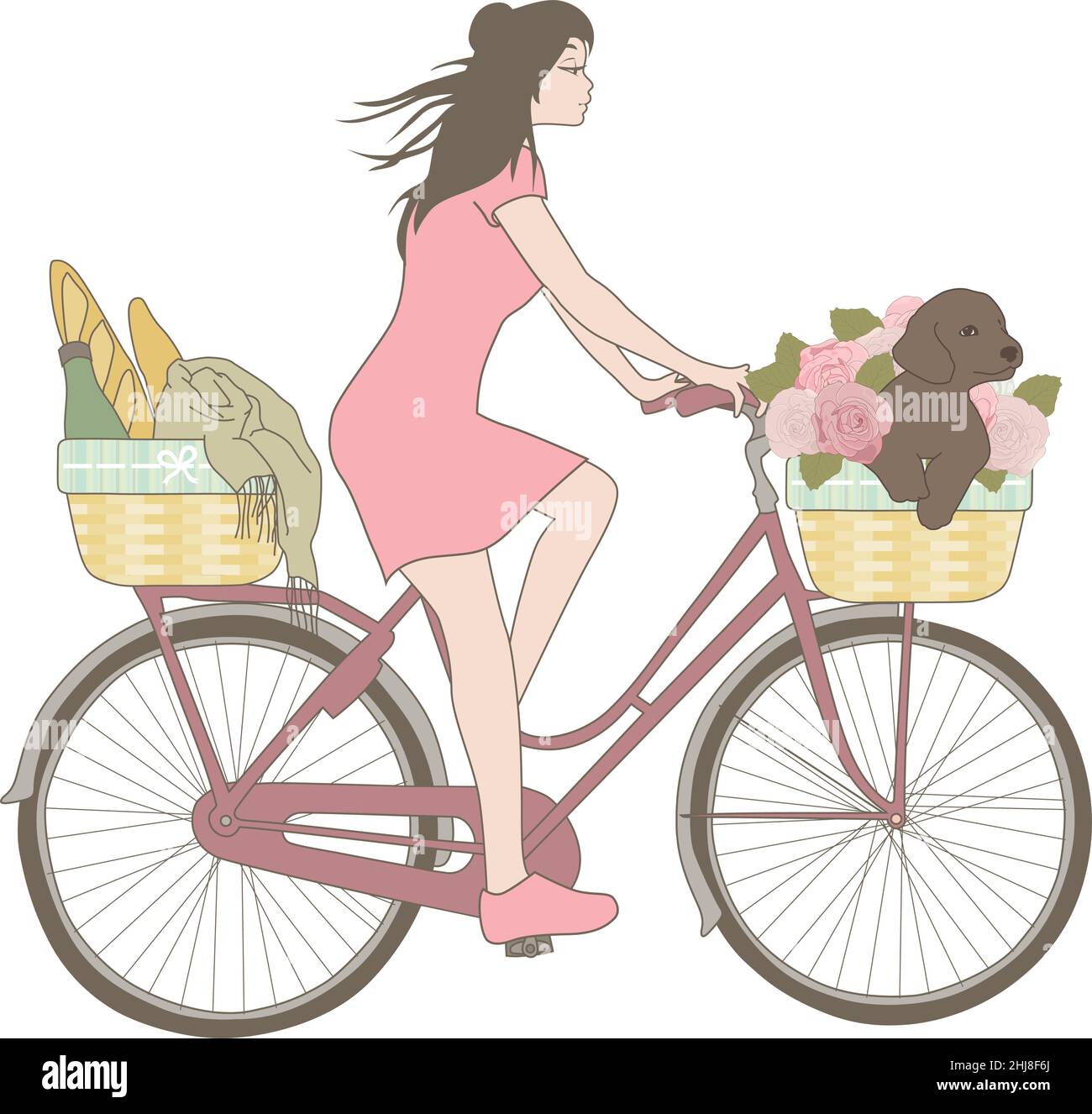 Illustration bike girl basket Stock Vector Images - Alamy