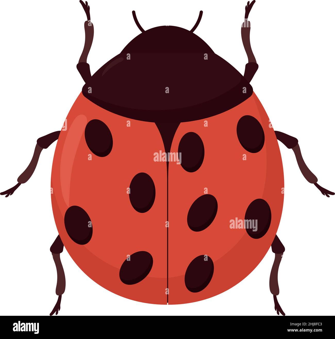 colored ladybug design Stock Vector Image & Art - Alamy