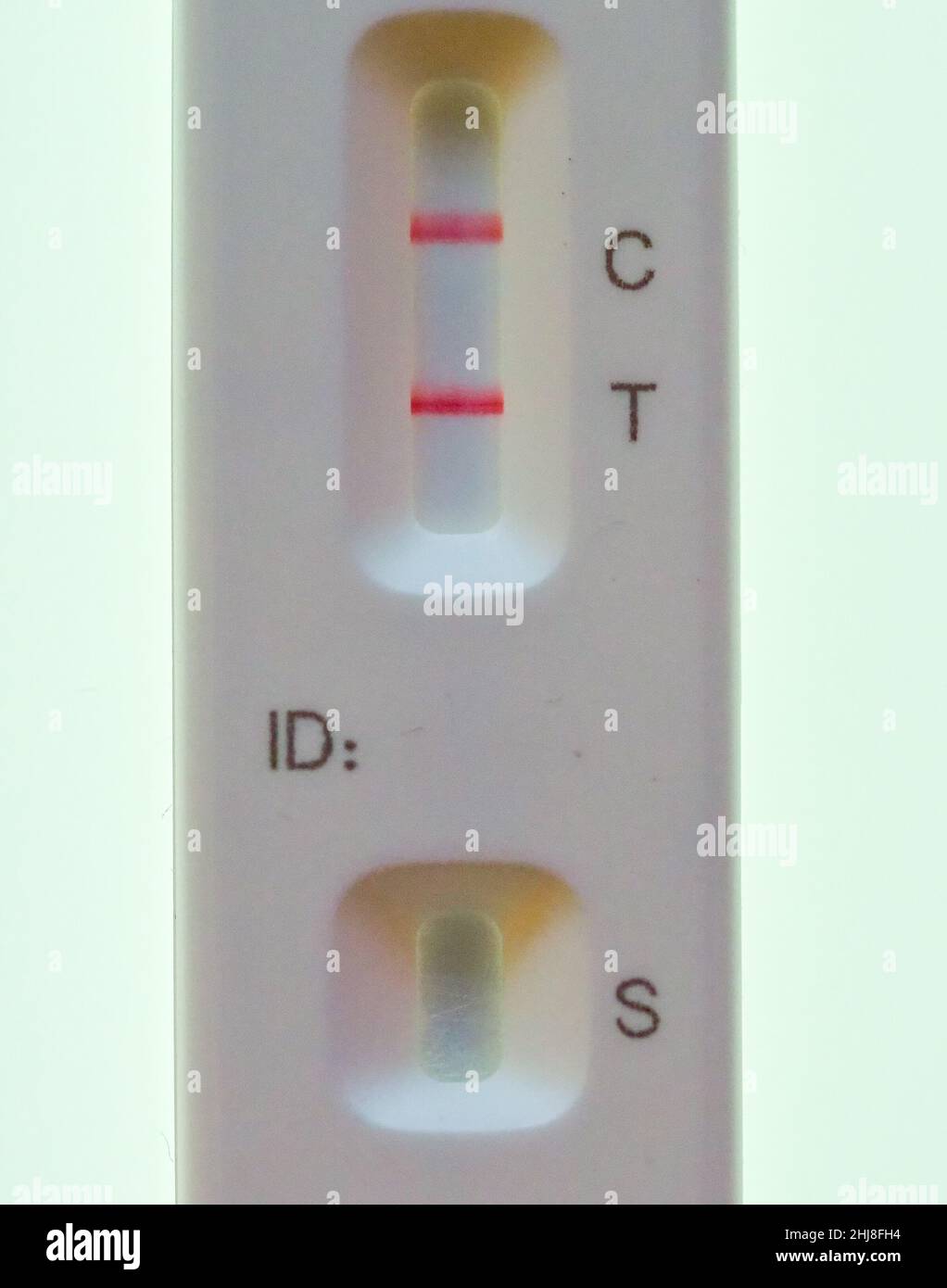 close-up of a lateral flow test for Covid 19 showing a positive ...