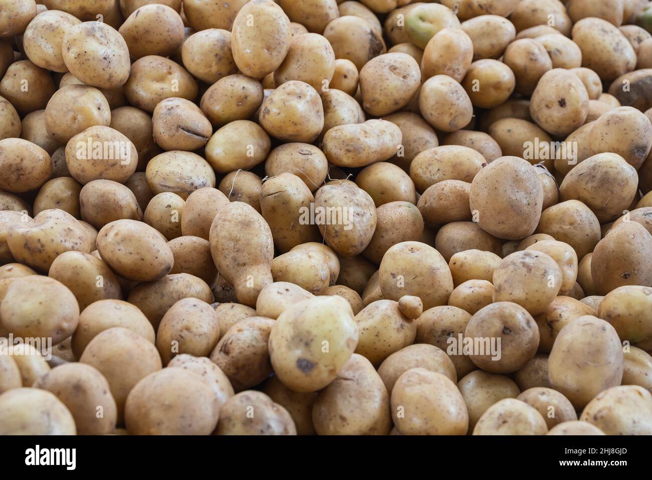 Fresh organic brown unpeeled potatoes on a fresh market, background ...