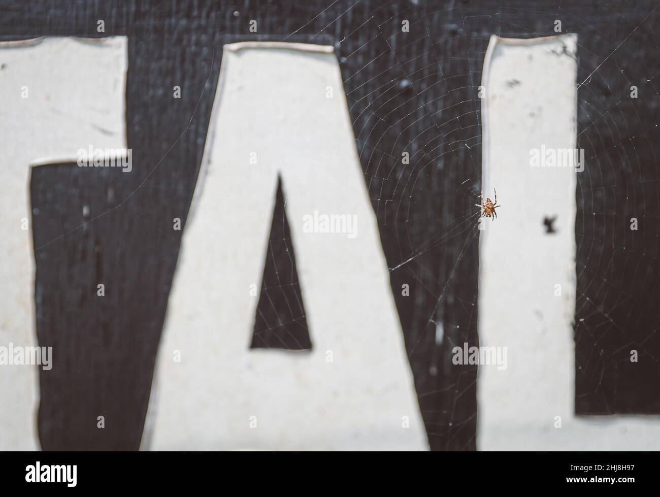 Cricket wicket roller hi-res stock photography and images - Alamy