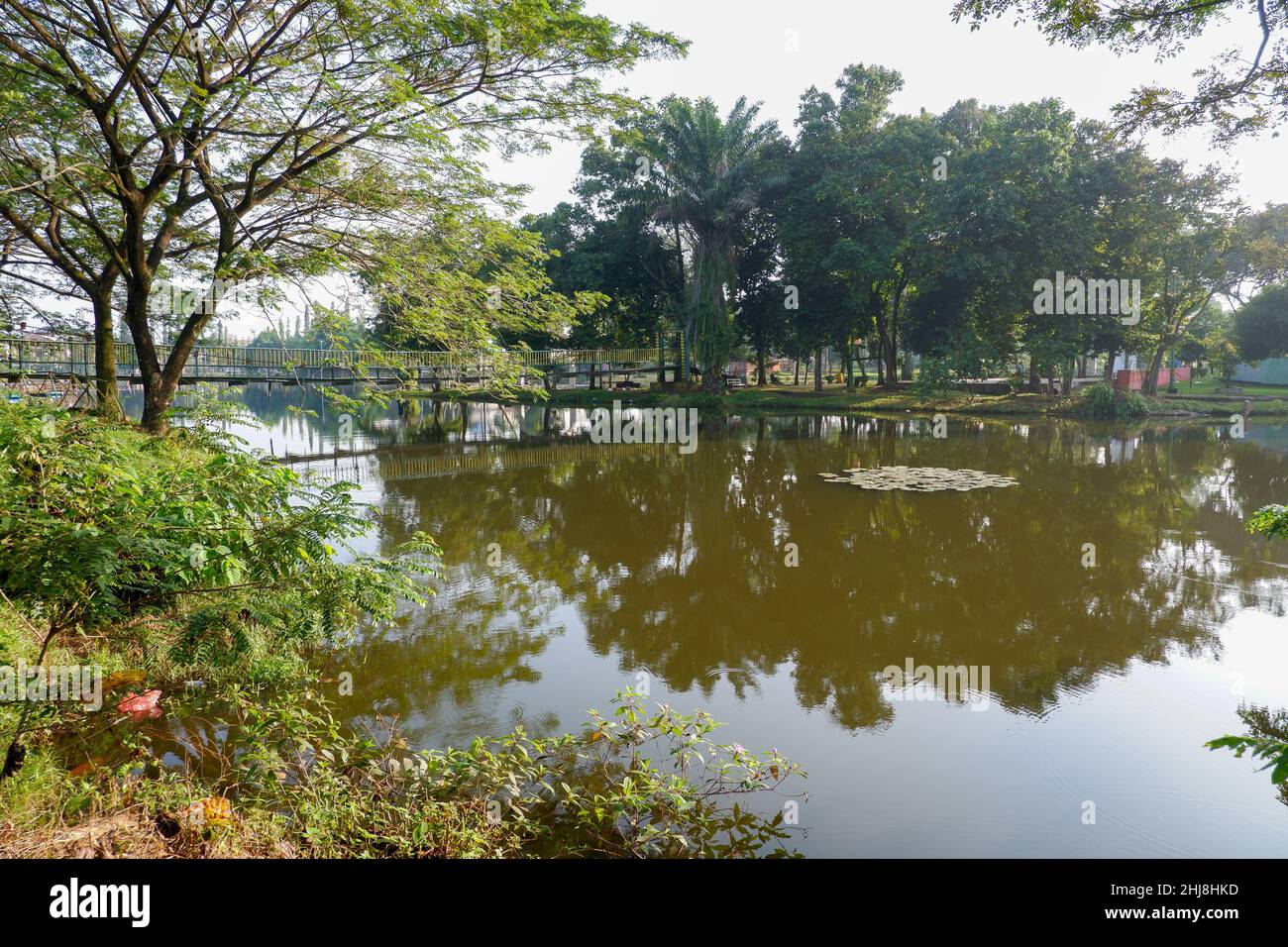 Surat forest hi-res stock photography and images - Alamy