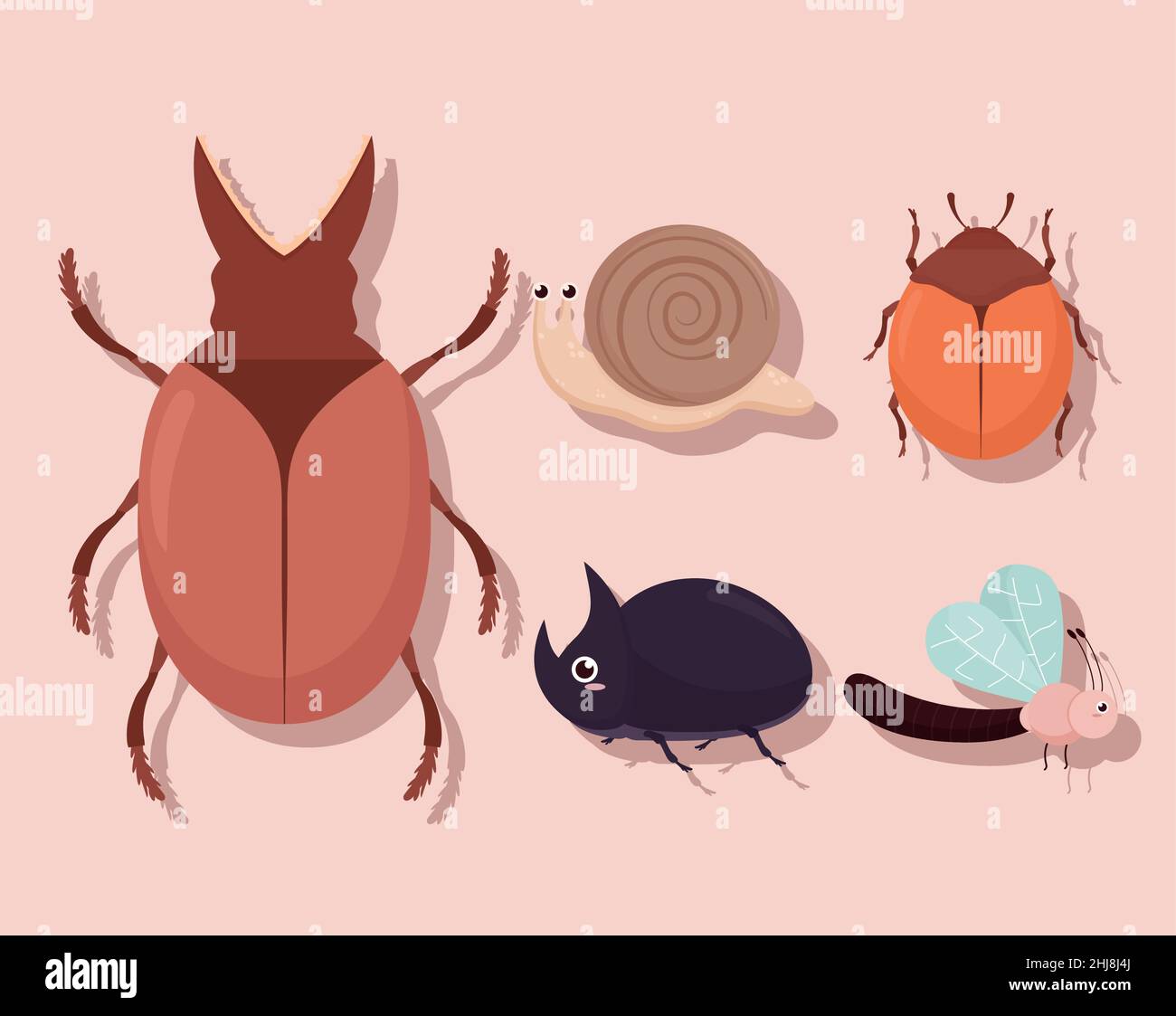 Five fly insects hi-res stock photography and images - Alamy