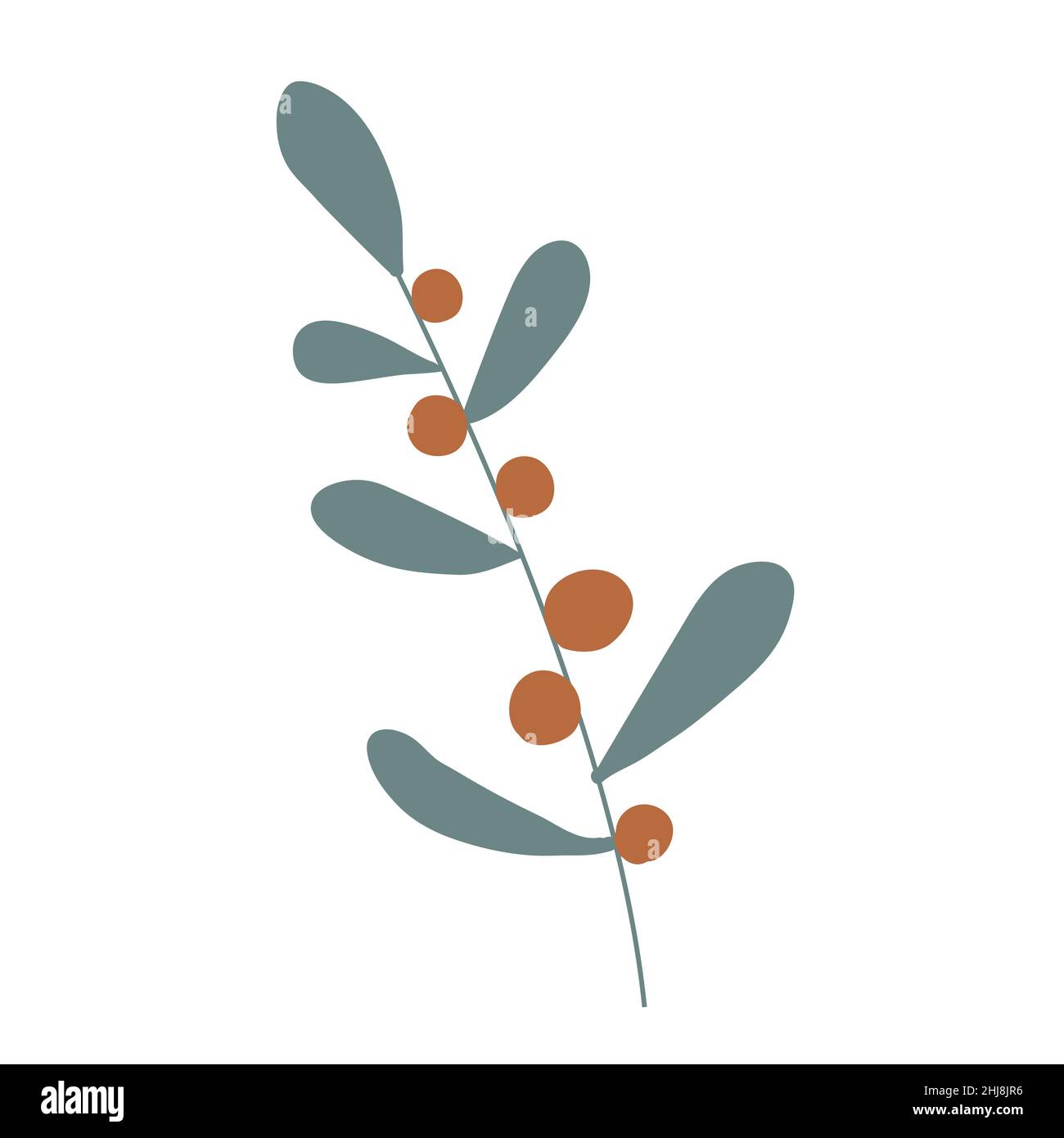 Vector isolated floral berry branch, doodle simple drawing. Xmas or ...