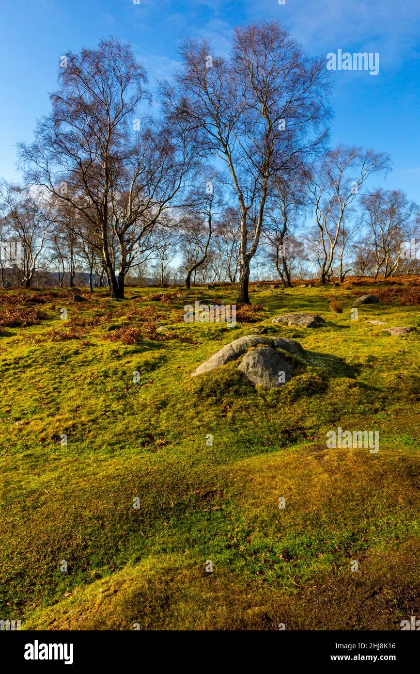 Winter view with rocks and trees at Gardom's Edge near Baslow in the ...