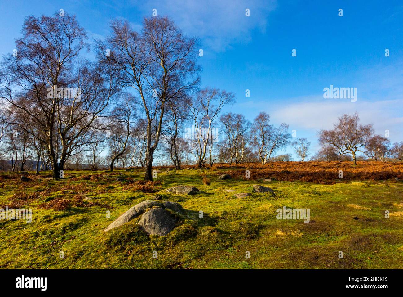 Winter view with rocks and trees at Gardom's Edge near Baslow in the ...