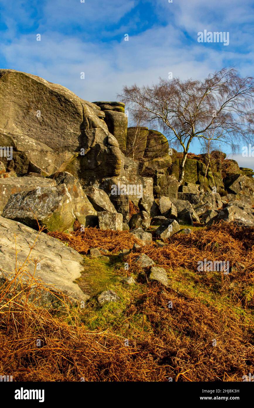 Winter view with rocks and trees at Gardom's Edge near Baslow in the ...