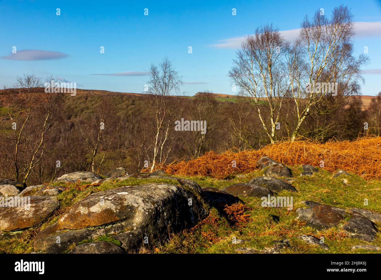 Winter view with rocks and trees at Gardom's Edge near Baslow in the ...