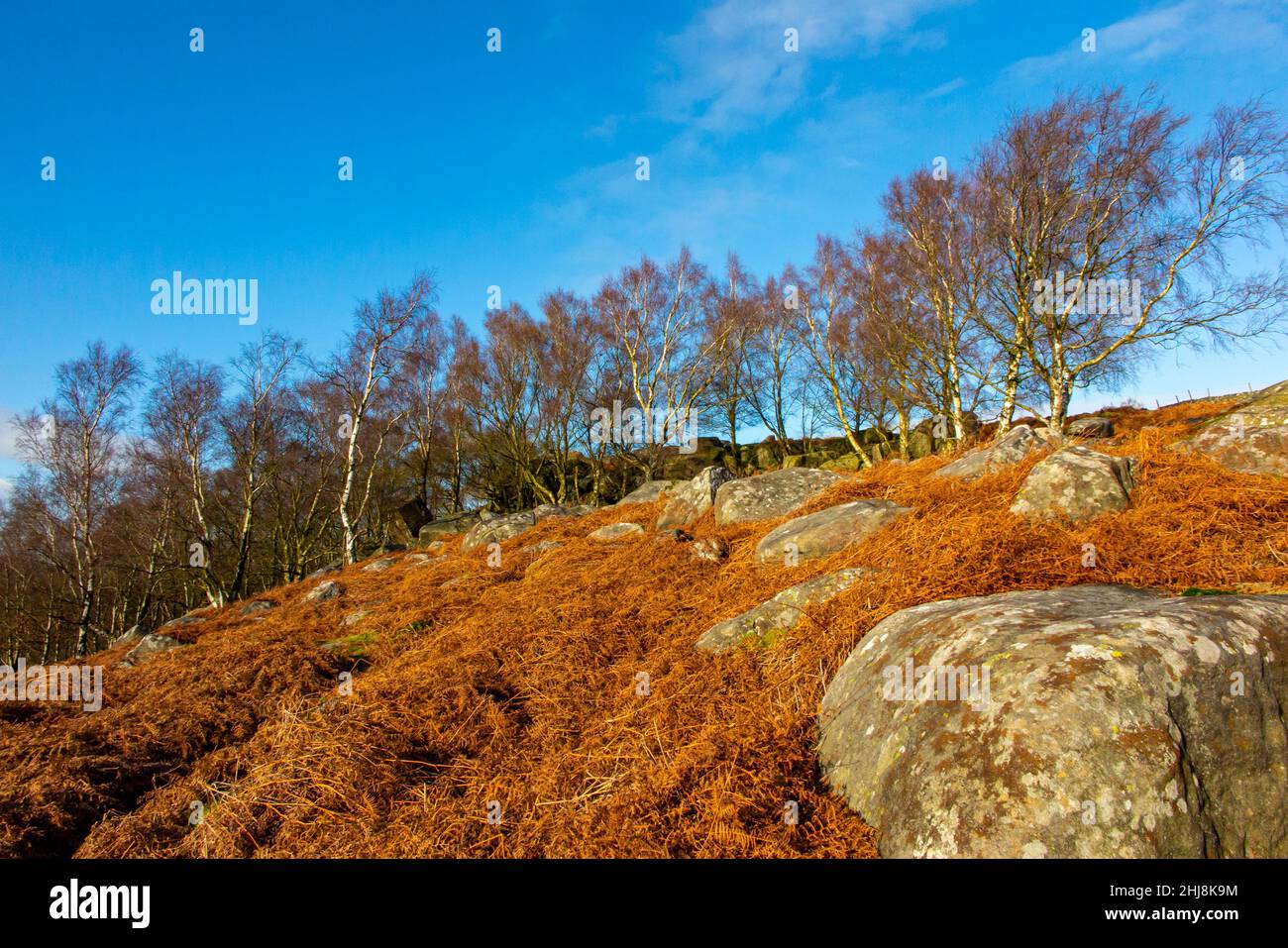 Winter view with rocks and trees at Gardom's Edge near Baslow in the ...
