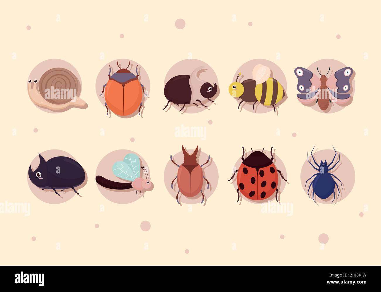 ten cute bugs Stock Vector Image & Art - Alamy