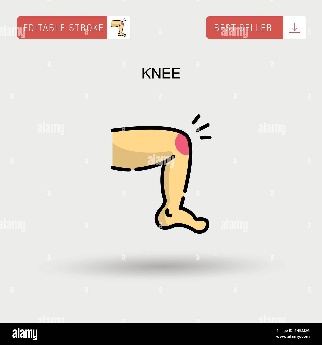 The muscle of knee joint Stock Vector Images - Alamy