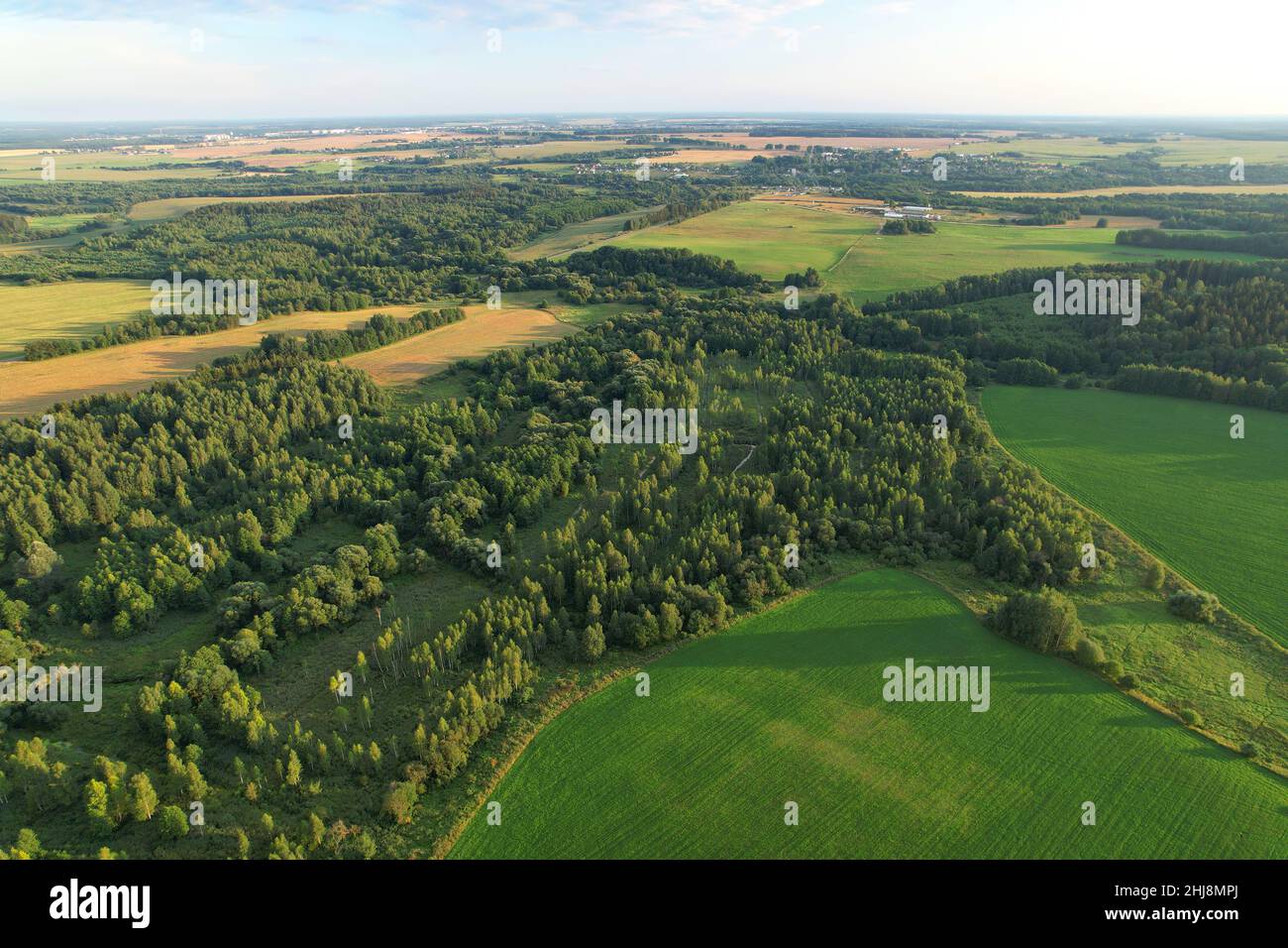 Aerial view of the field near the forest in the countryside Stock Photo ...