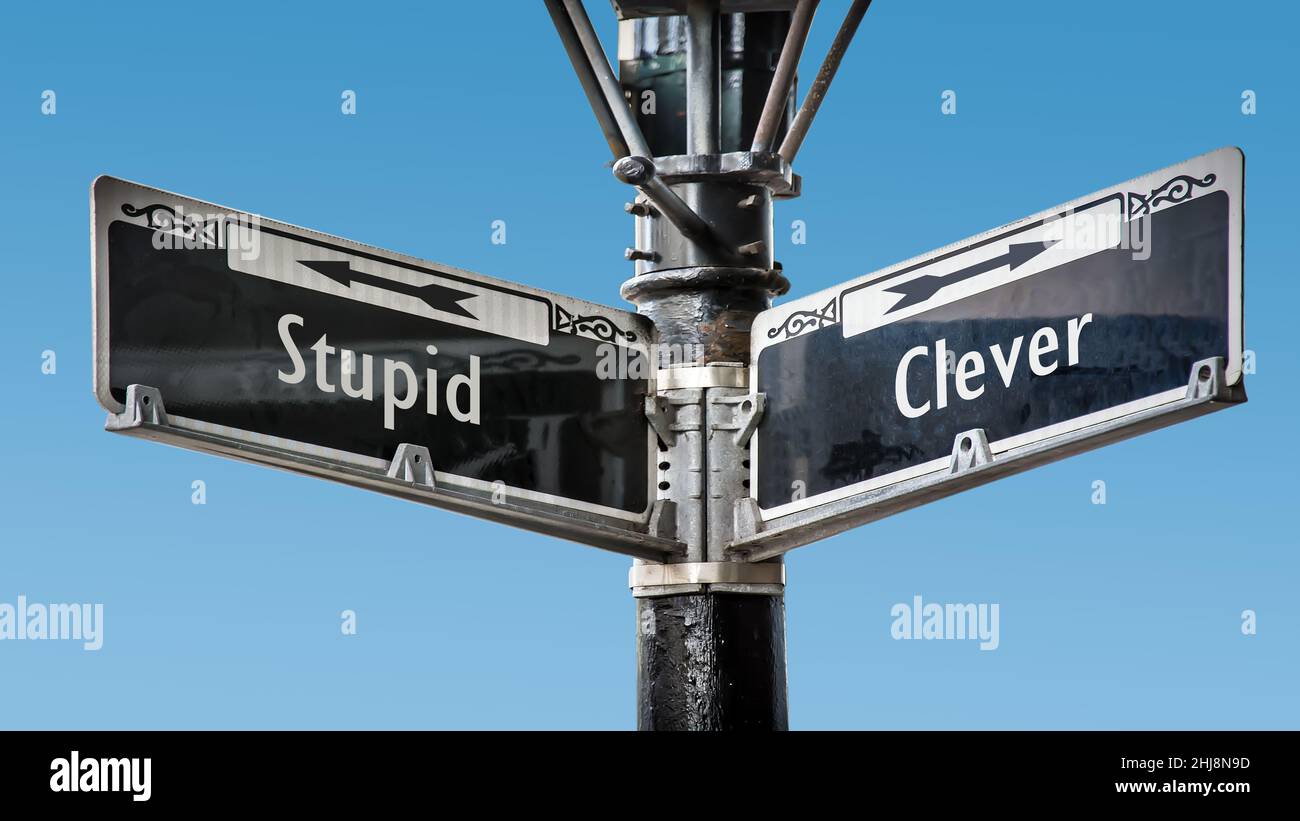 Street Sign the Direction Way to Clever versus Stupid Stock Photo - Alamy