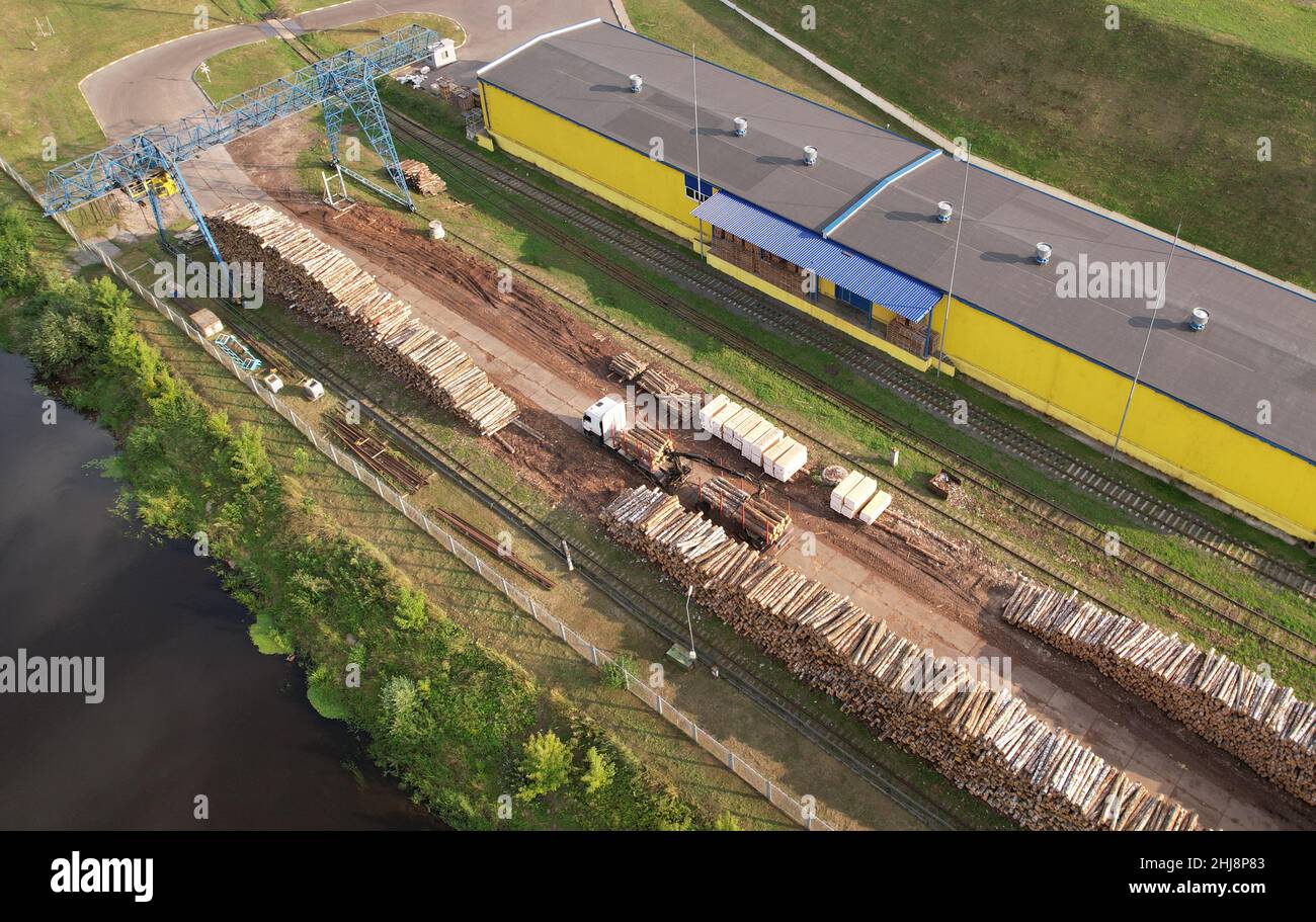 Timber truck unloading a cut trees in at woodworking plant ...