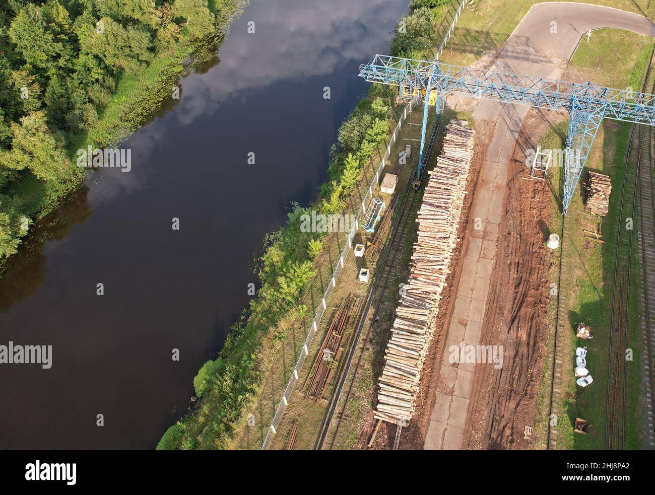Timber truck unloading a cut trees in at woodworking plant ...