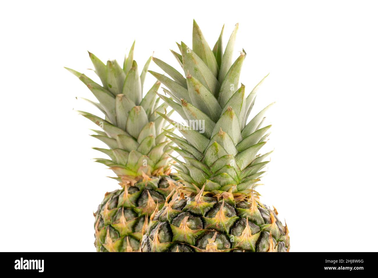 Two ripe organic pineapples, close-up, isolated on white Stock Photo ...