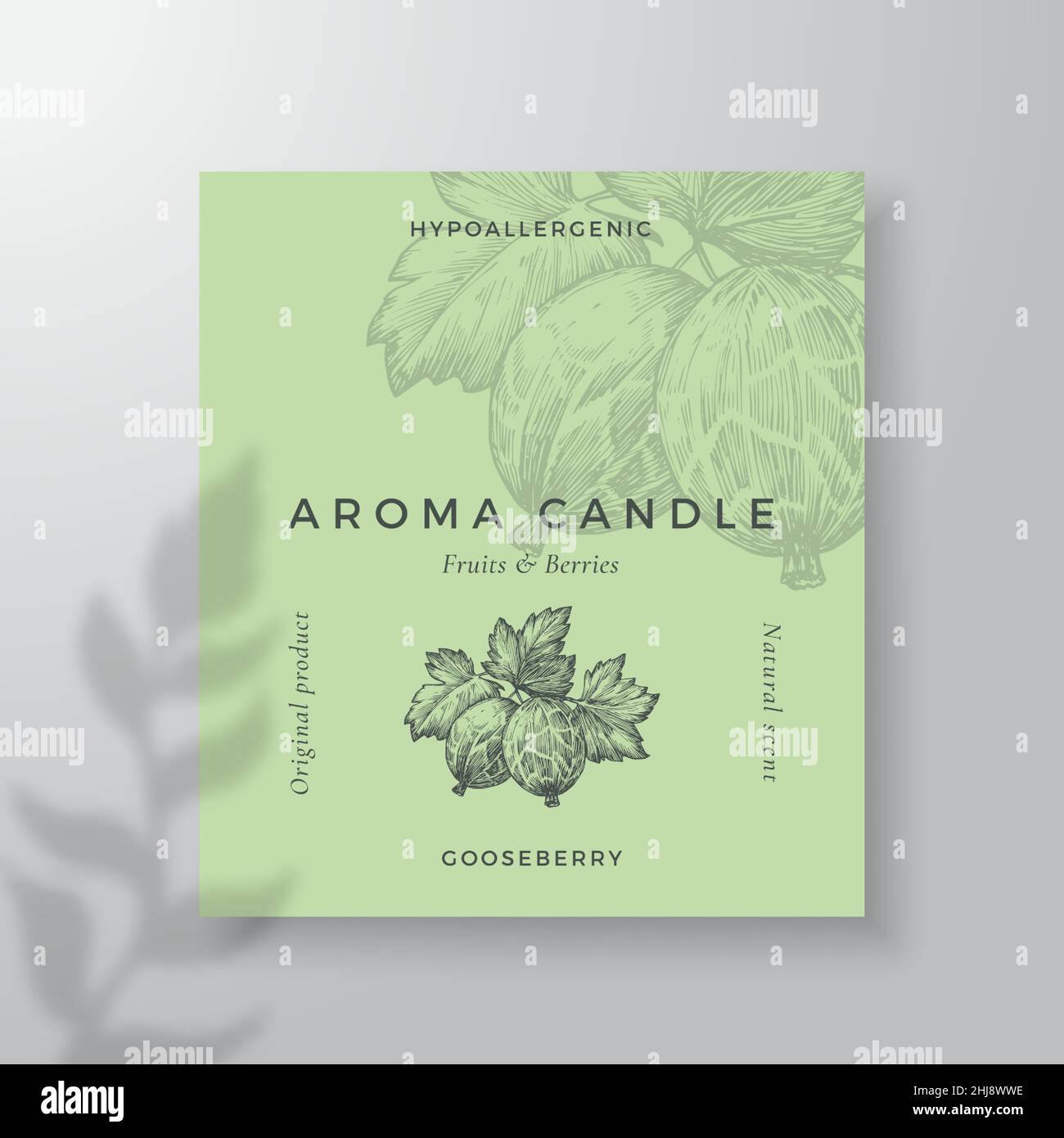 Aroma candle vector label template. Gooseberry berry scent from local ...