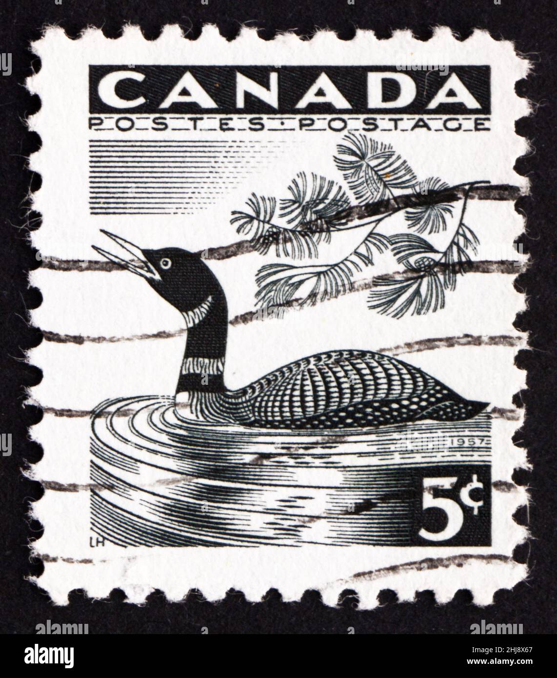 CANADA - CIRCA 1957: a stamp printed in the Canada shows Loon, Bird ...