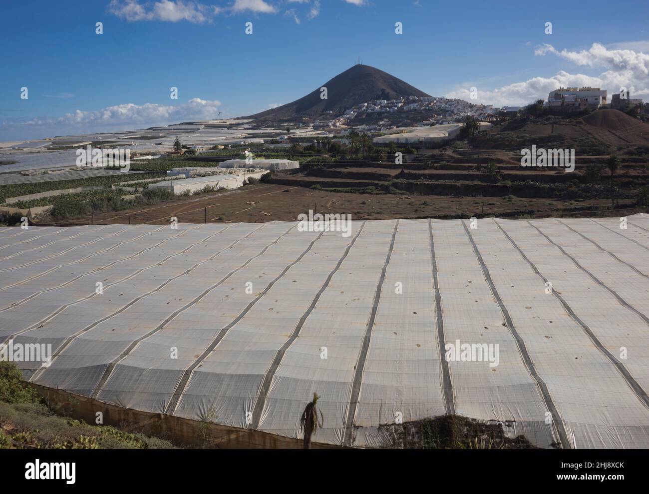 Plastic greenhouses to grow bananas and winter fruits for northern European markets near Galdar ...