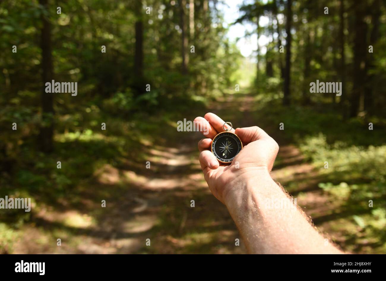 Compass in hand at forest. Tourist compass for orientation on the ...