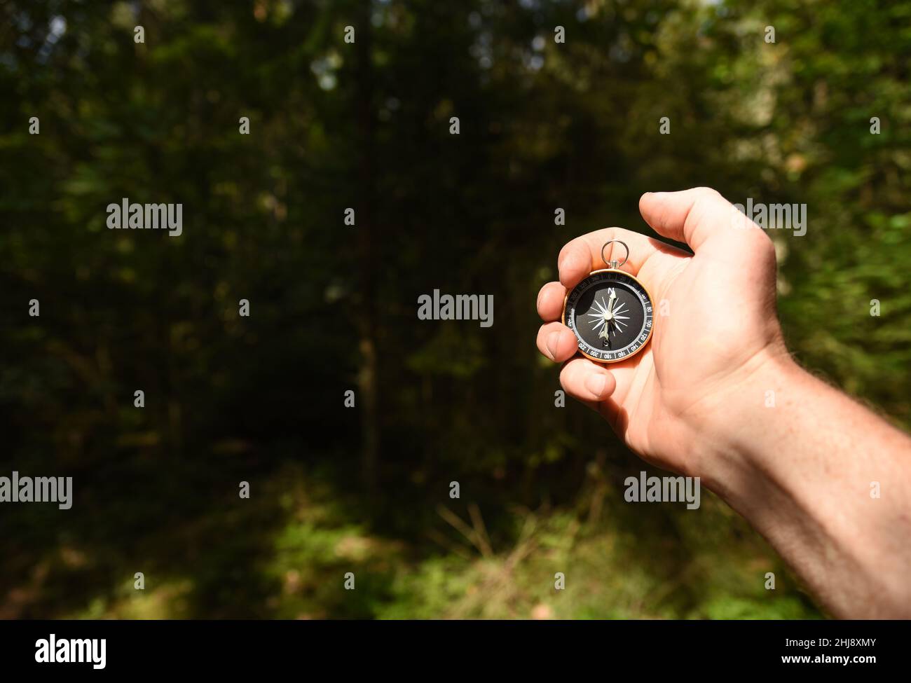 Compass in hand at forest. Tourist compass for orientation on the ...