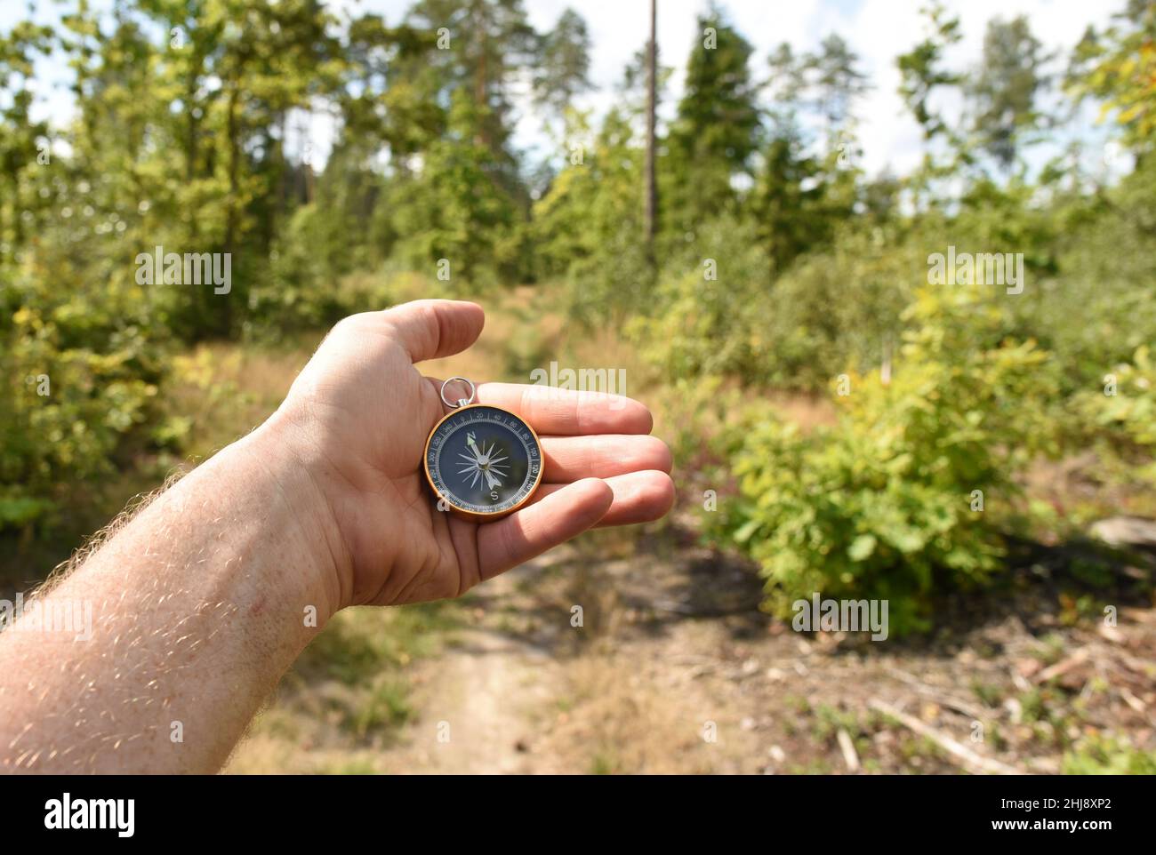 Compass in hand at forest. Tourist compass for orientation on the ...