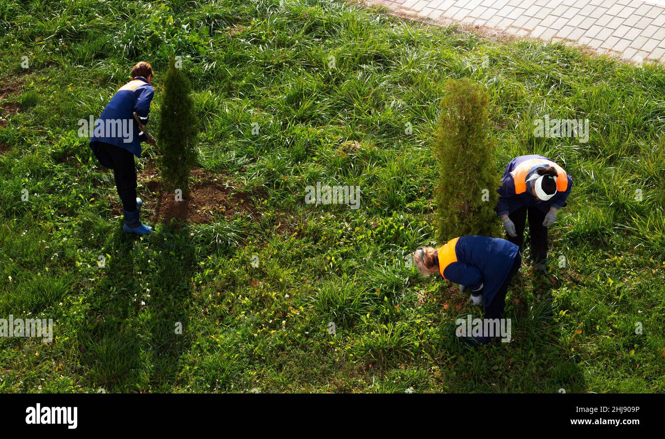 Two farm workers hand hi-res stock photography and images - Alamy