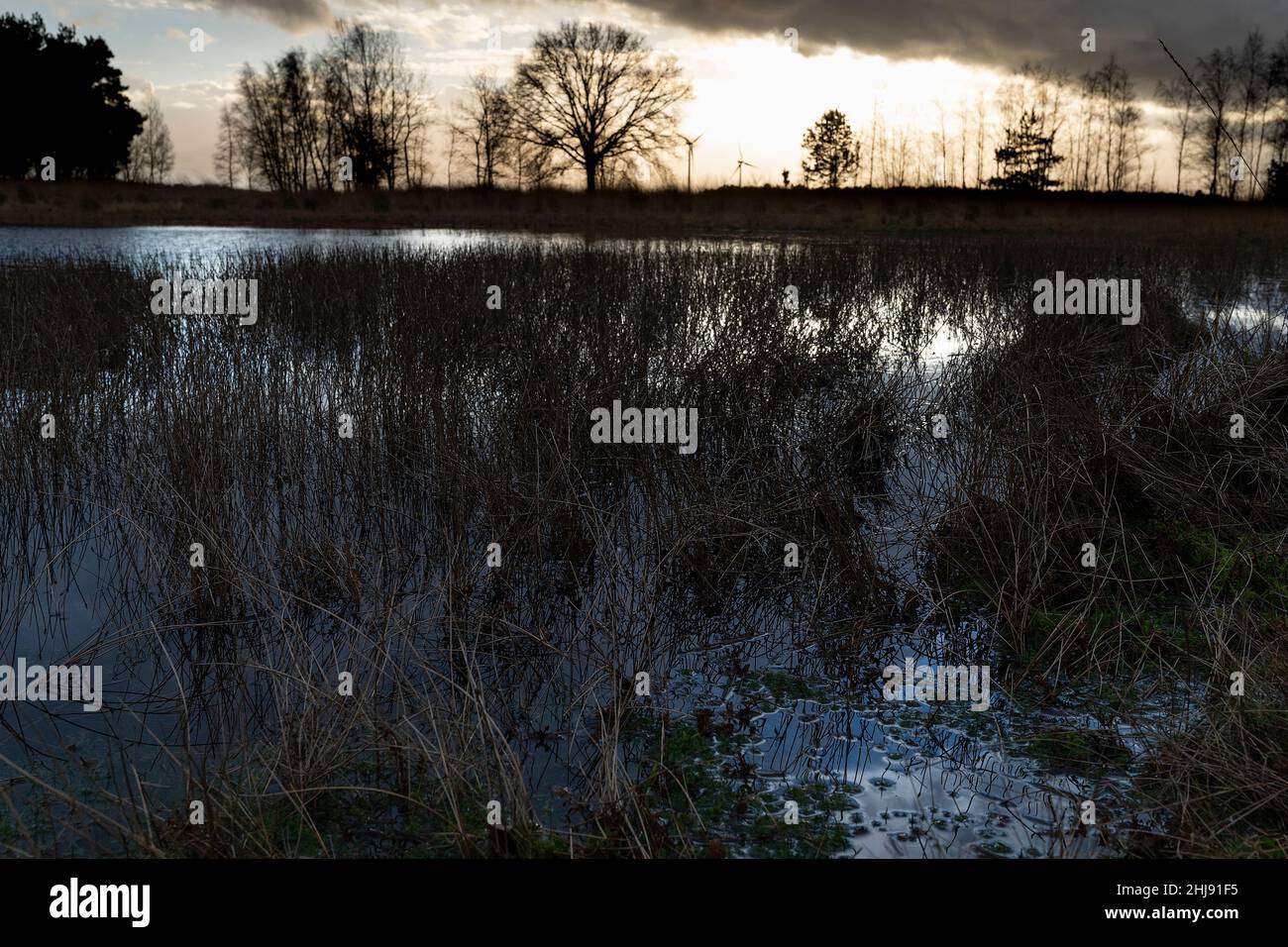 A Pond or mere with a swamp like appearance at sunset on a rainy day ...