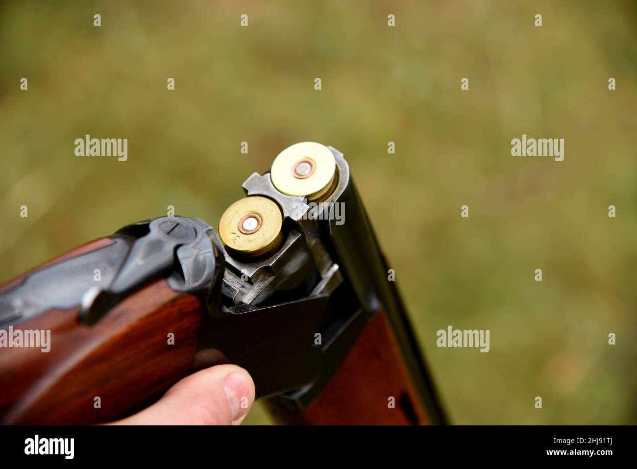 Shotgun in hunter hand. Hunter loads Cartridge firearms with shot into ...