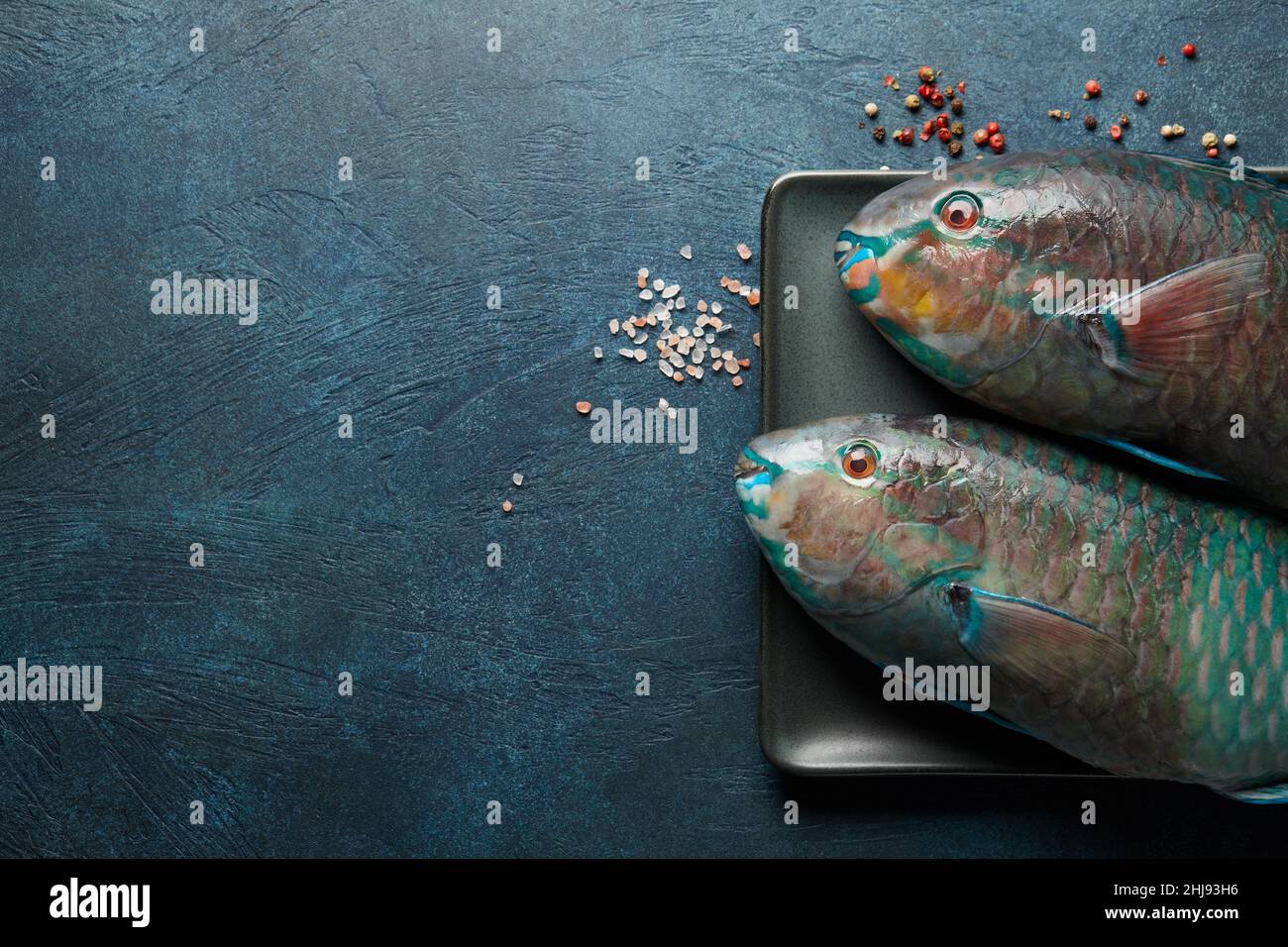 Blue parrot fish hi-res stock photography and images - Alamy