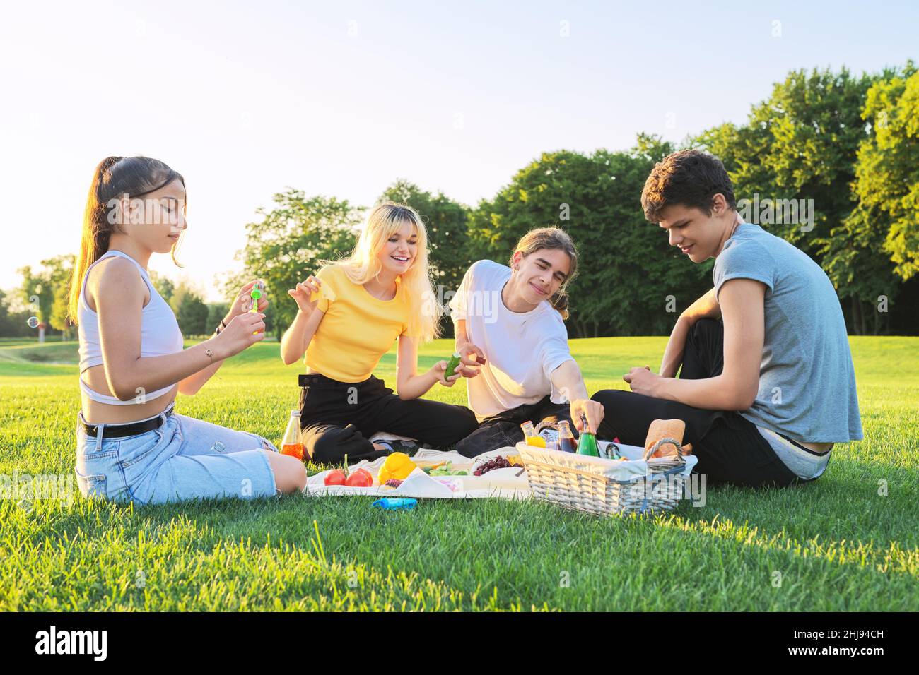 Teenagers having fun on a picnic in the park on lawn Stock Photo - Alamy