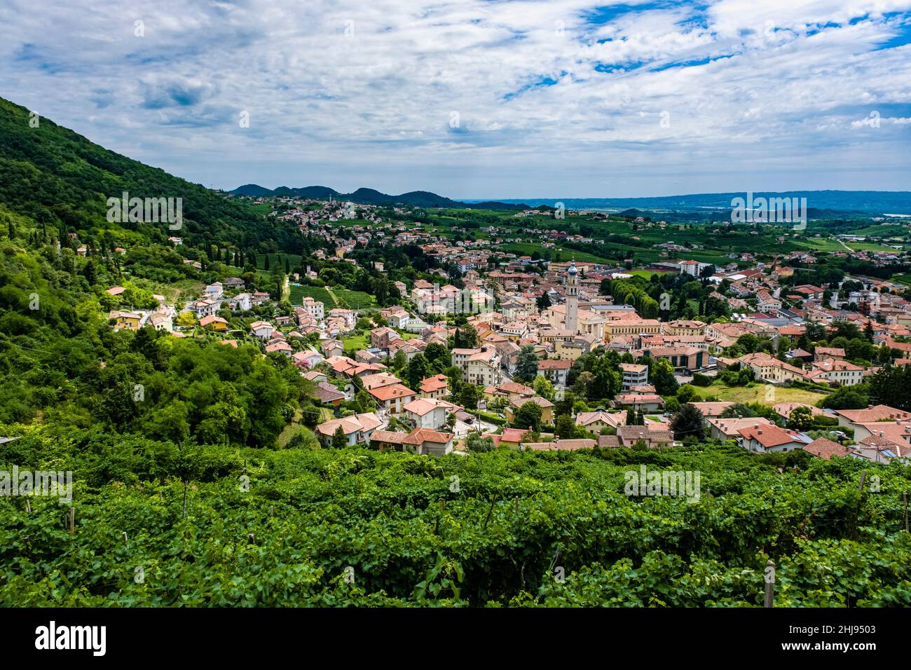 Prosecco vineyard hi-res stock photography and images - Alamy