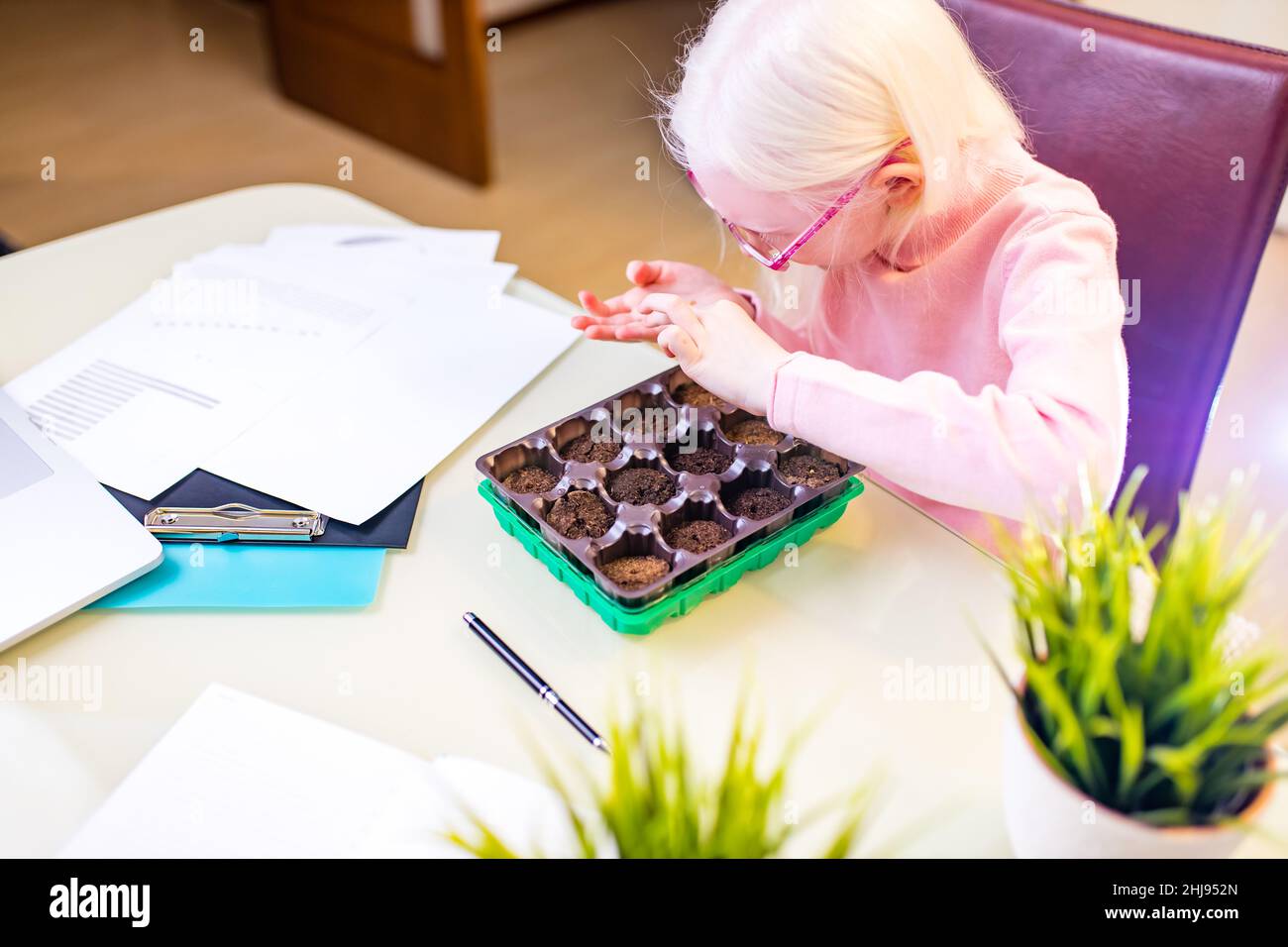 child putting a seed to plant in a seed growing tray at home Stock ...