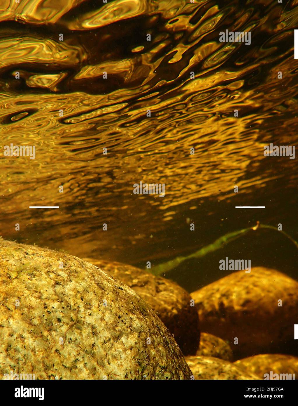 Mercury mining area hi-res stock photography and images - Alamy