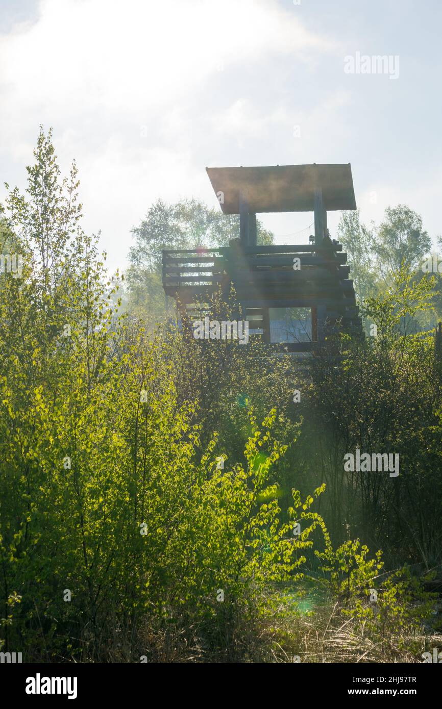 A wooden observation tower in a forested nature reserve in the alps on ...