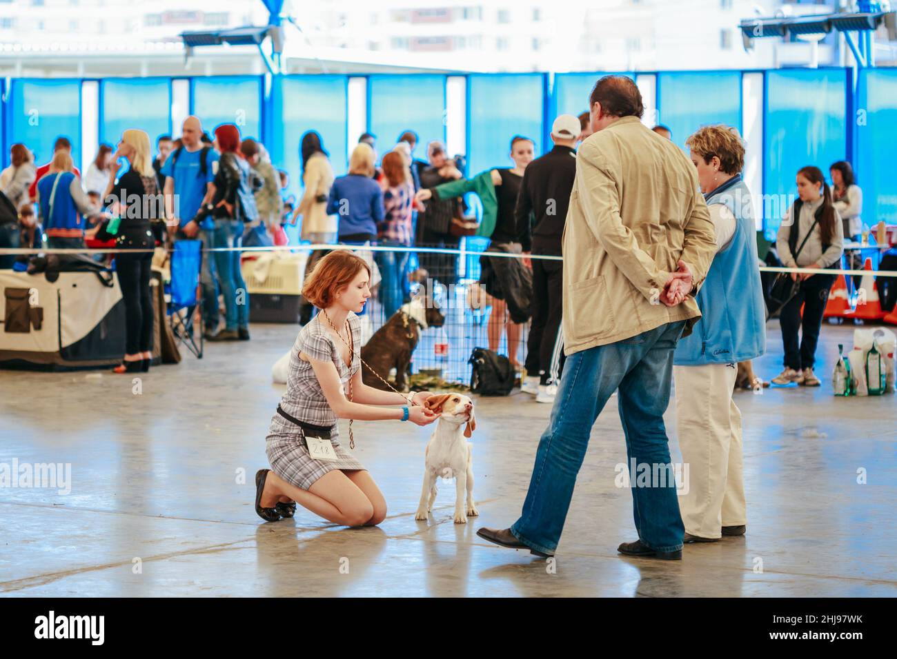 People and dogs visit exhibition -International dog show, important ...
