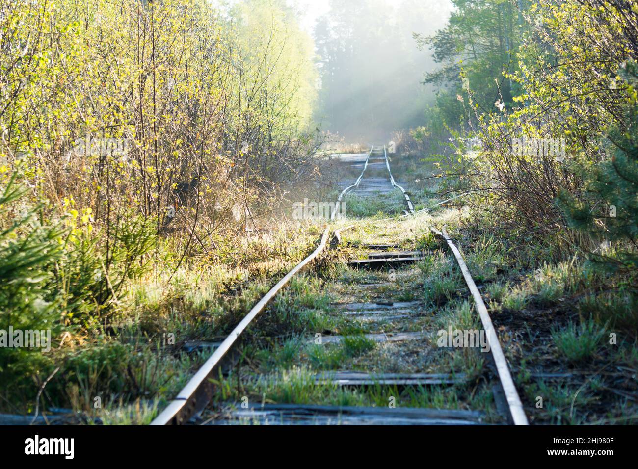 Swamp train tracks hi-res stock photography and images - Alamy