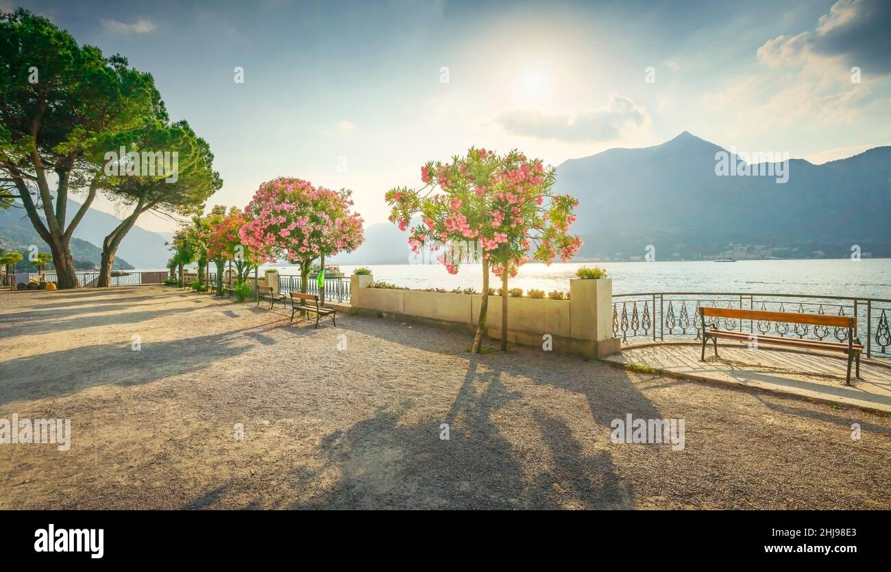 Bench and trees on the lakefront of Lake Como at sunset. Bellagio town ...