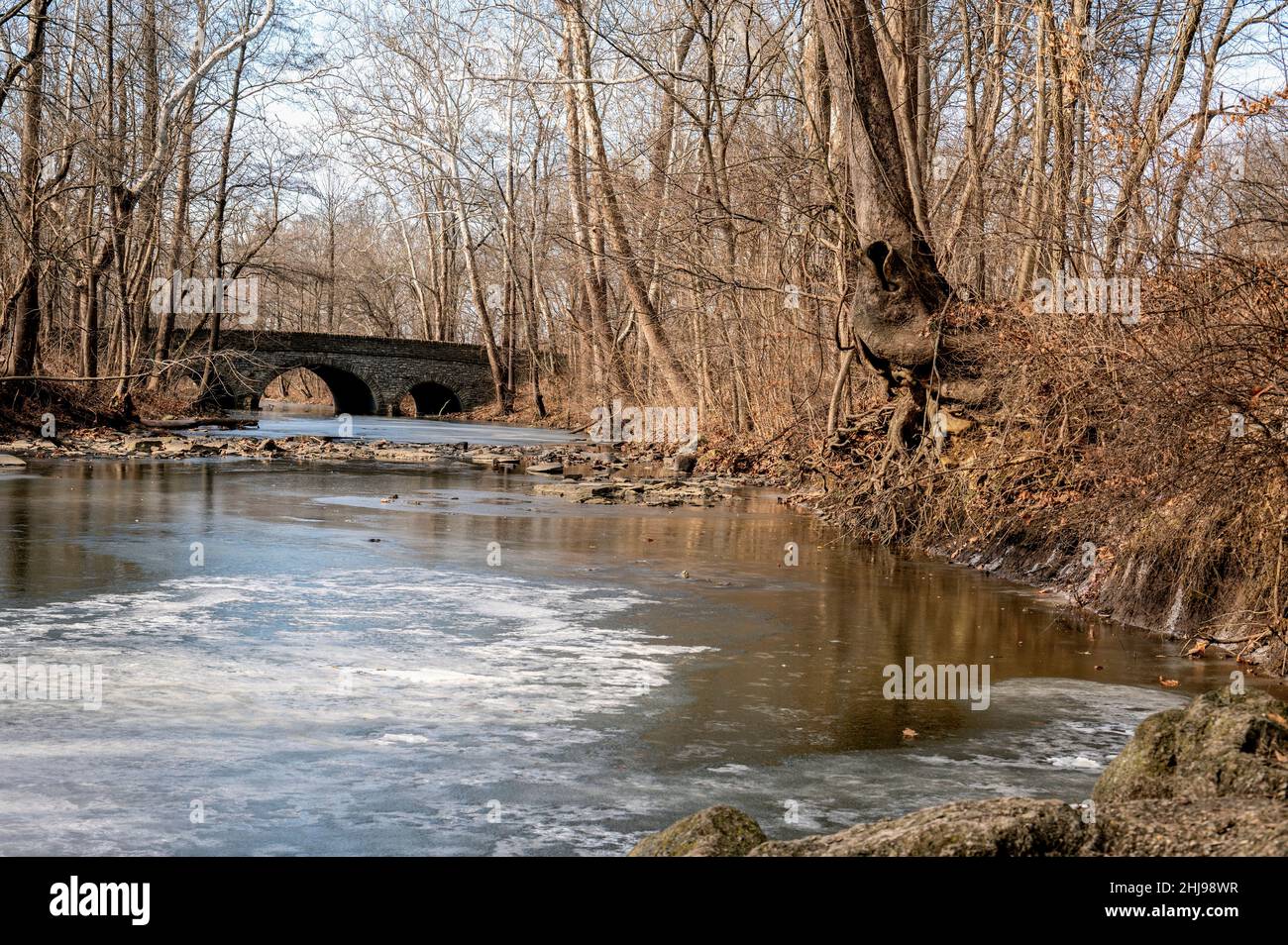 Sharon woods hi-res stock photography and images - Alamy