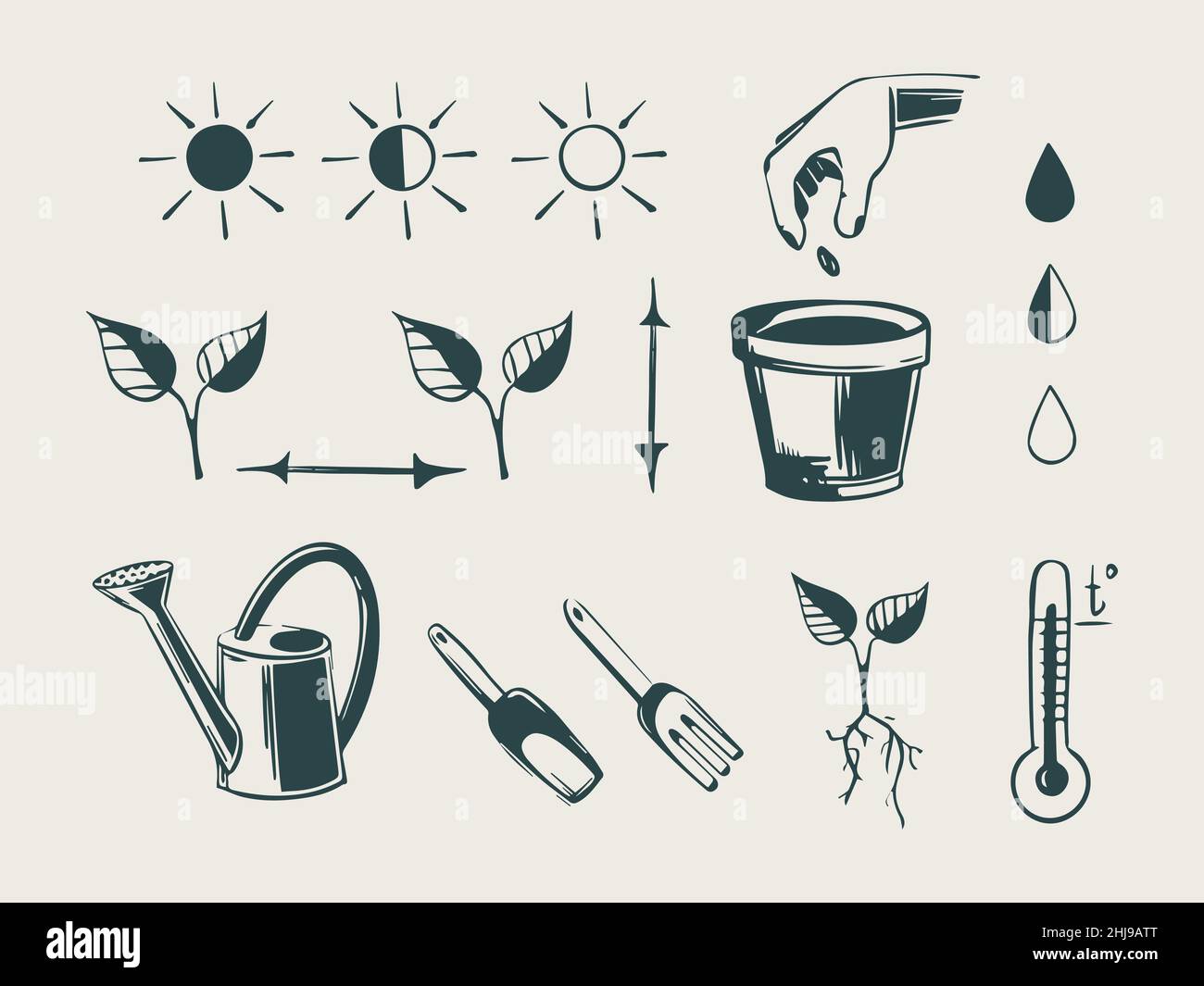 Step by step instructions for planting seeds of plants and flowers ...