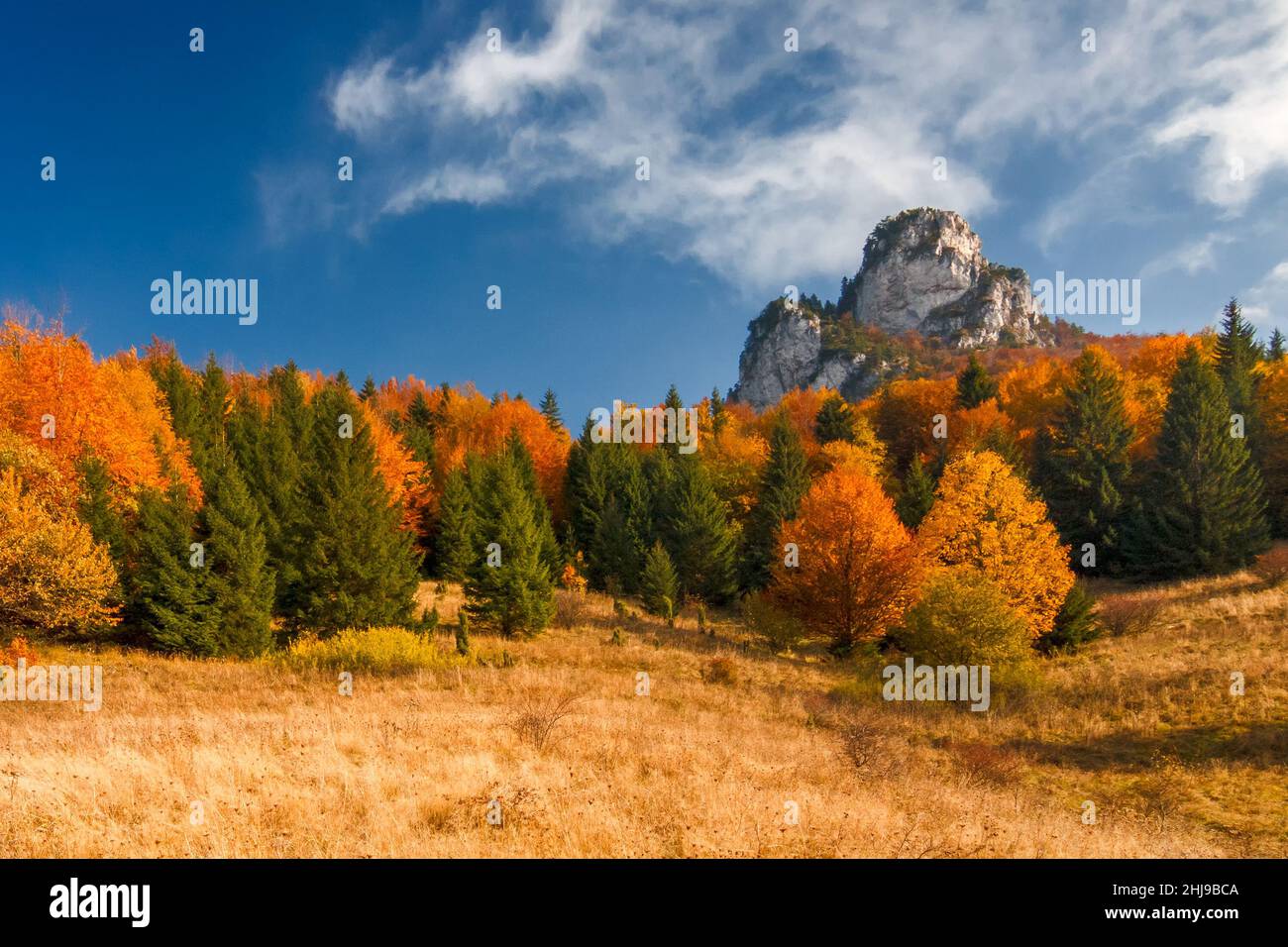 Autumn landscape with a blue sky with puffs, rocks and trees in fall ...