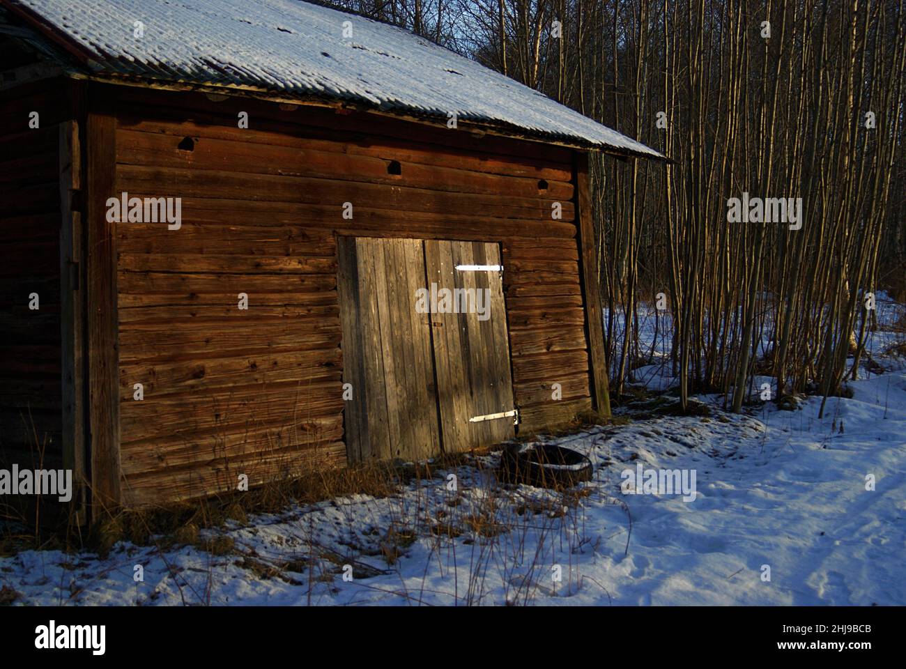 Old building in the forest Stock Photo - Alamy