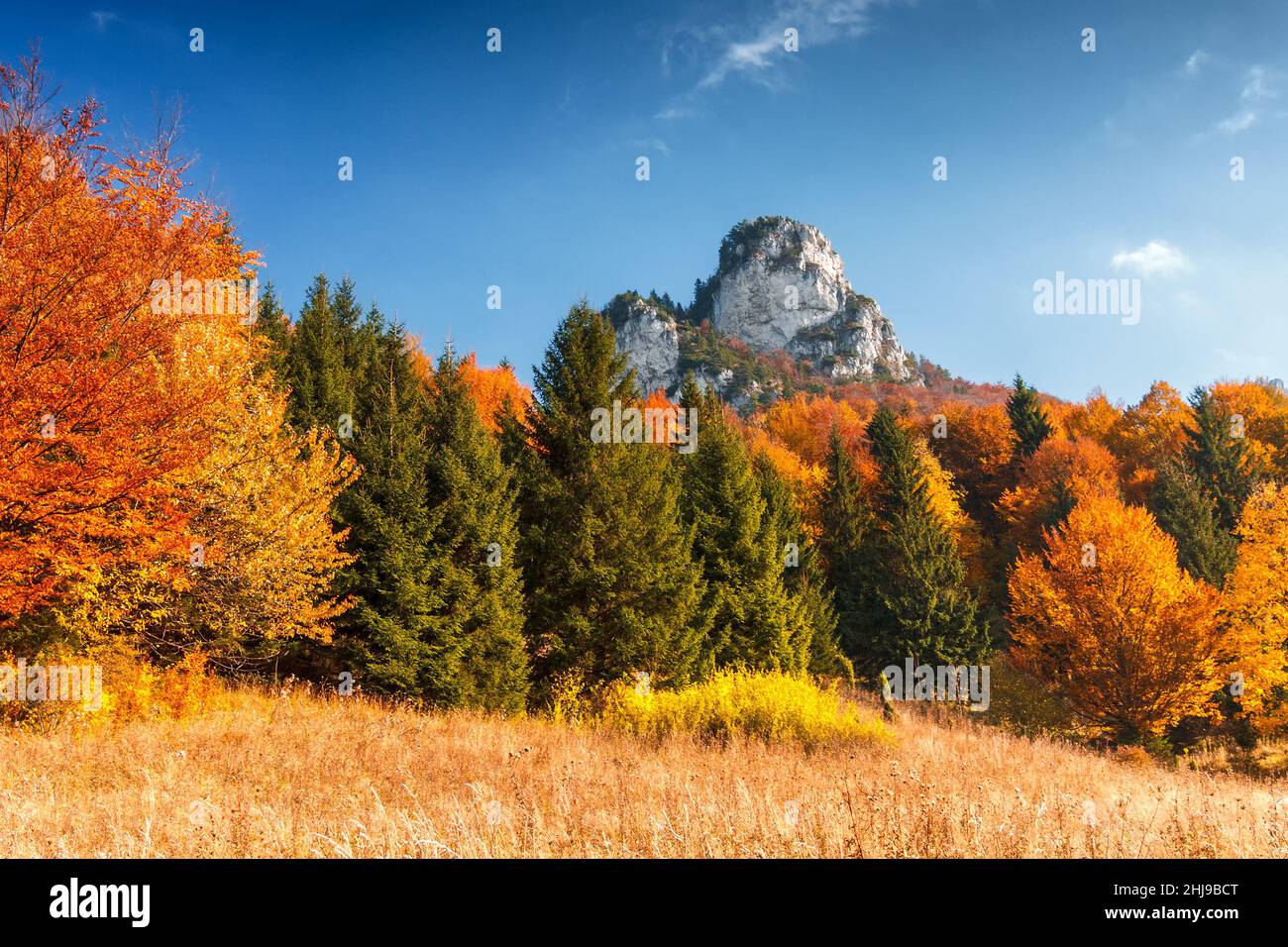 Autumn landscape with a blue sky with puffs, rocks and trees in fall ...